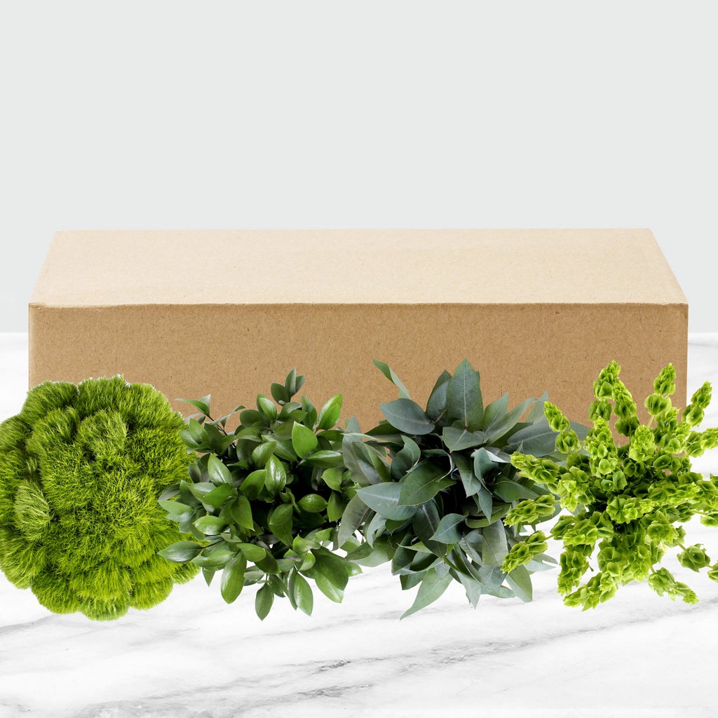 100-stem Assorted Green Fillers – Prime Select